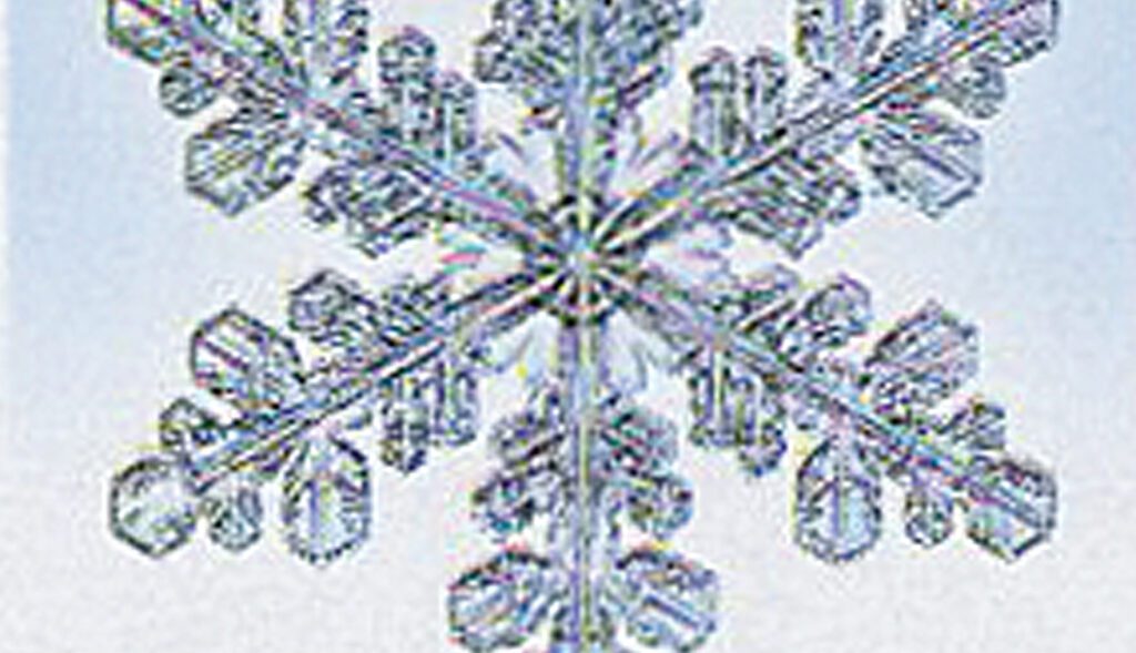 A 15-Inch Snowflake Falls in Montana! — Mystic Stamp Discovery Center