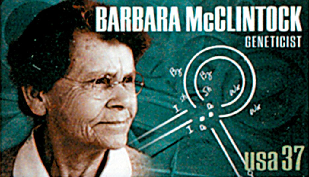 Birth of Barbara McClintock — Mystic Stamp Discovery Center