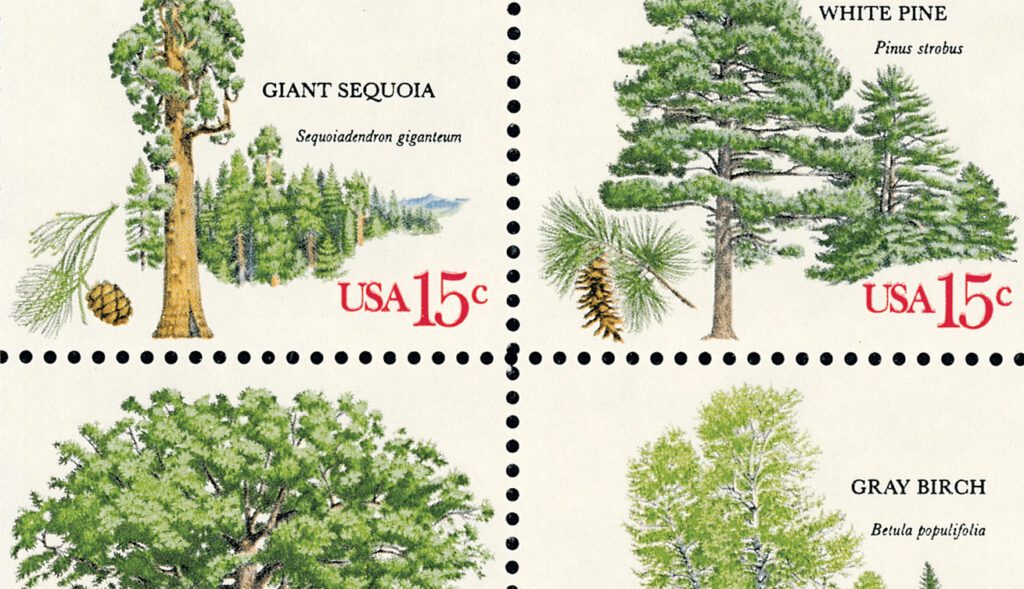 The American Forestry Association — Mystic Stamp Discovery Center
