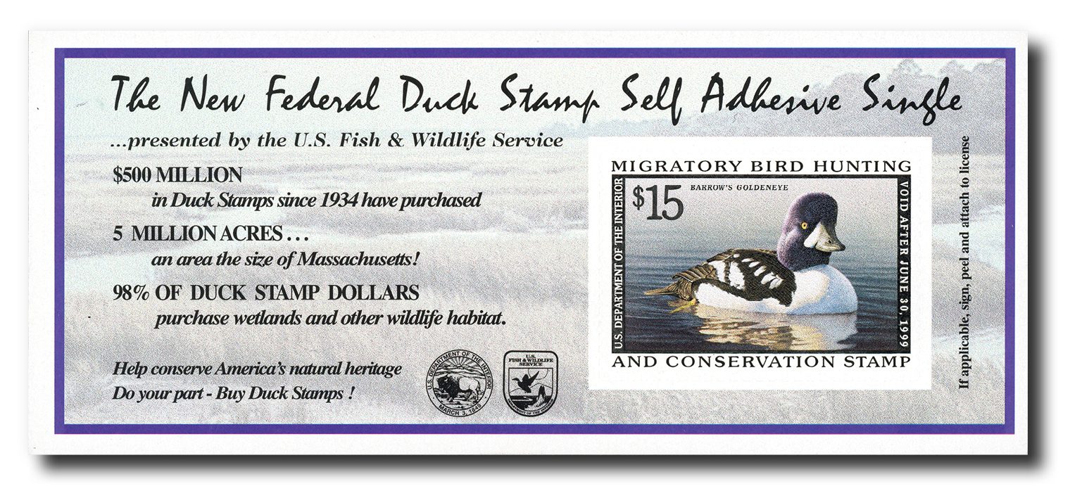 The Story of America’s Duck Stamps | Mystic Stamp Discovery Center