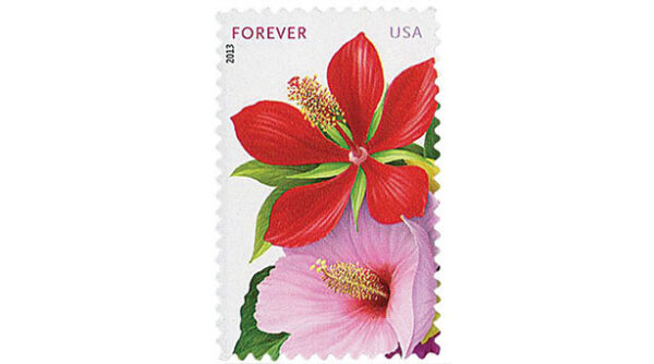 How to Identify a Die-Cut Perforation | Mystic Stamp Discovery Center