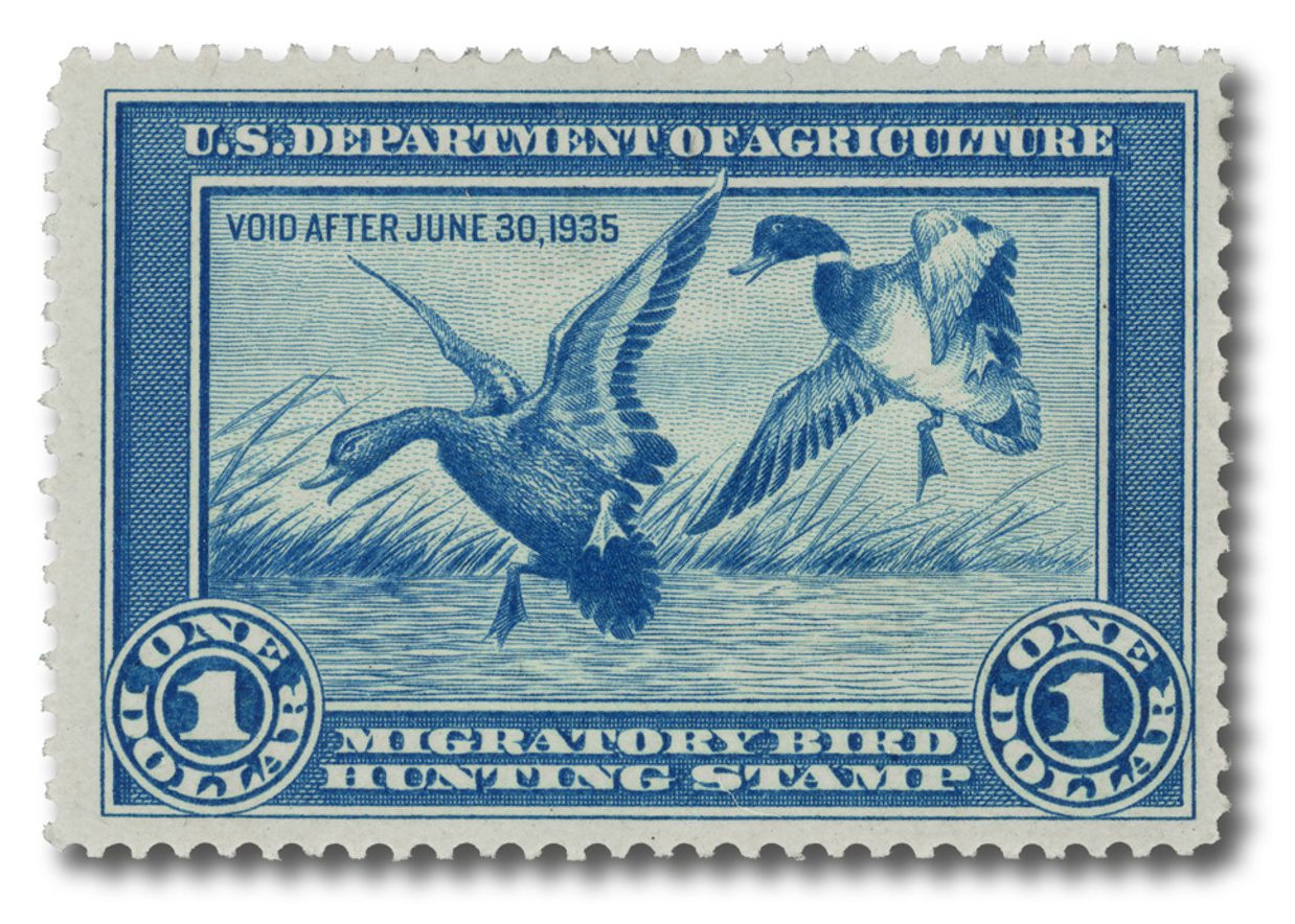 The Story of America’s Duck Stamps | Mystic Stamp Discovery Center