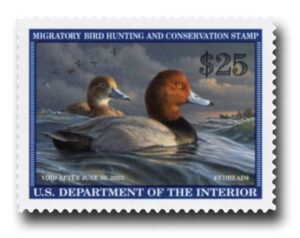 Nine Major Categories of U.S. Stamps | Mystic Stamp Discovery Center